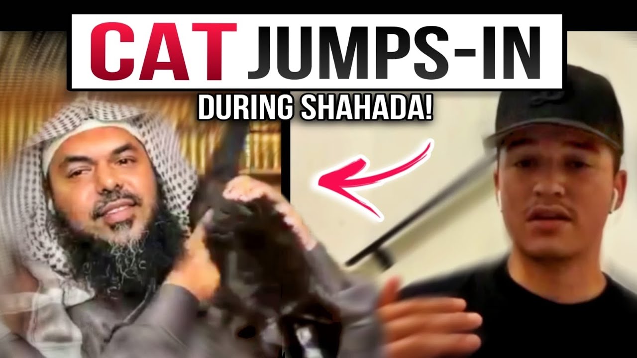 Alfredo Accepts ISLAM☝🏼 😹 Shaykh Uthman's CAT Interrupts Zoom Call 📞 ...