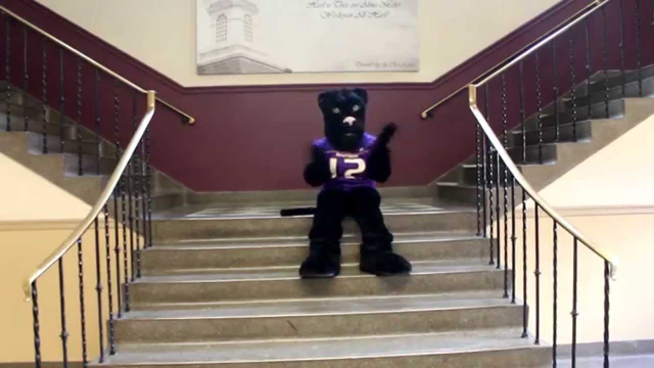 Sad Panther - All by himself - YouTube