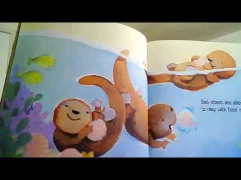 How Do Penguins Play - YouTube
