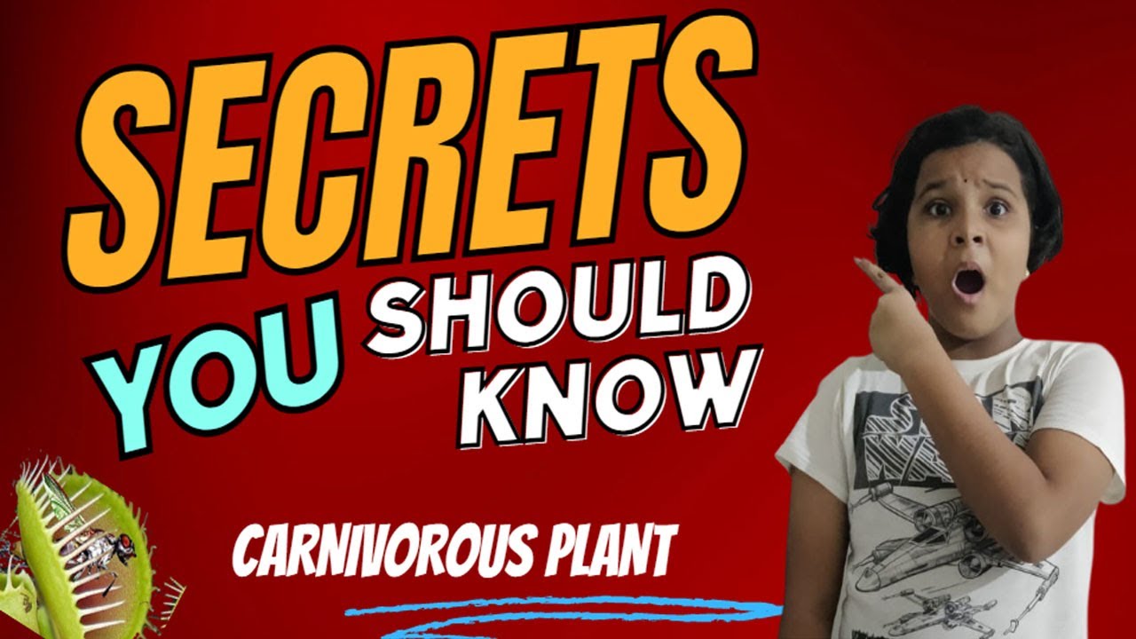 Nature's Voracious Hunters: The World of Carnivorous Plants - YouTube