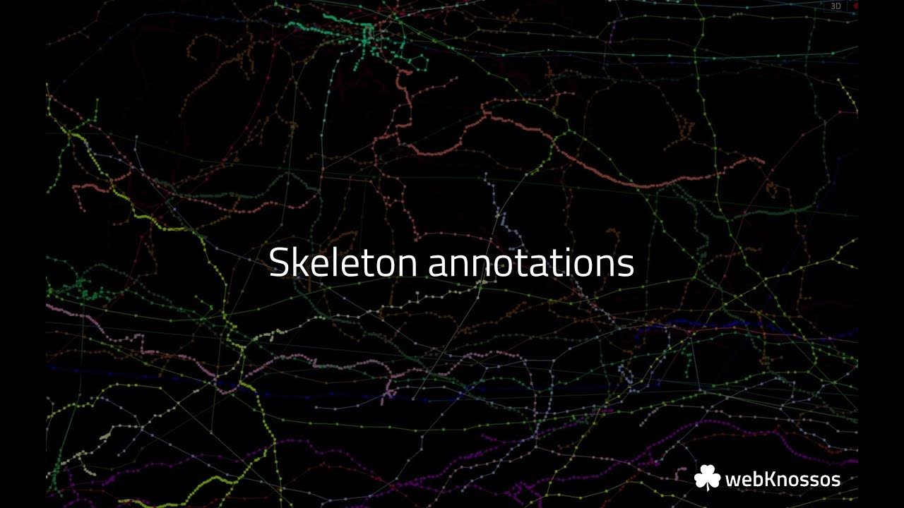 webKnossos - Skeleton annotations - YouTube