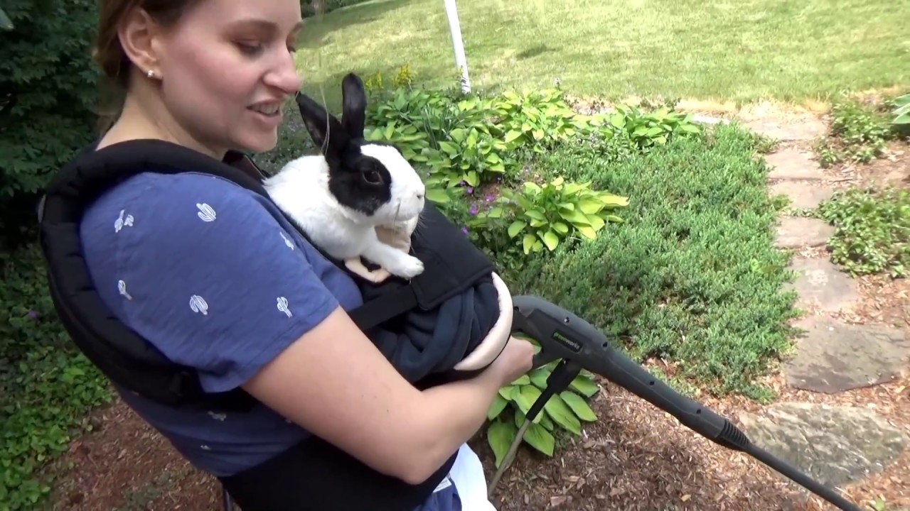 Rabbit and girl pressure washing sidewalk - YouTube