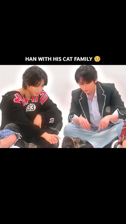 Han × Kitty😼 #straykids #jisung #leeminho #minsung #jeongin #스트레이키즈 #skz #skzedits #stay #cute ...