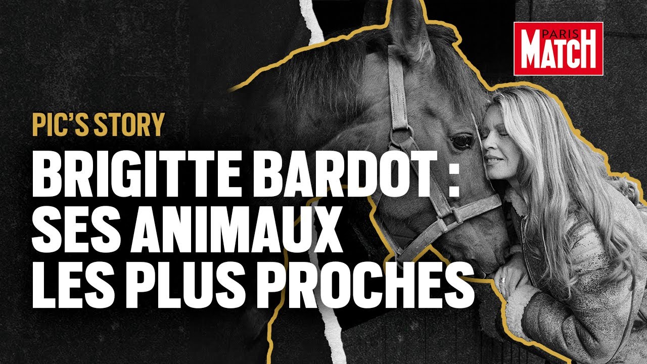 Brigitte Bardot : ses animaux les plus proches - YouTube