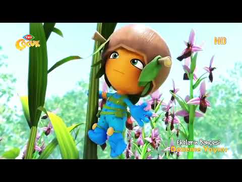 TRT Çocuk - Geçici Logonun Değişim Anı - (Deneme Yayınından HD Yayına Geçiş Anı - 20 Ocak 2017)