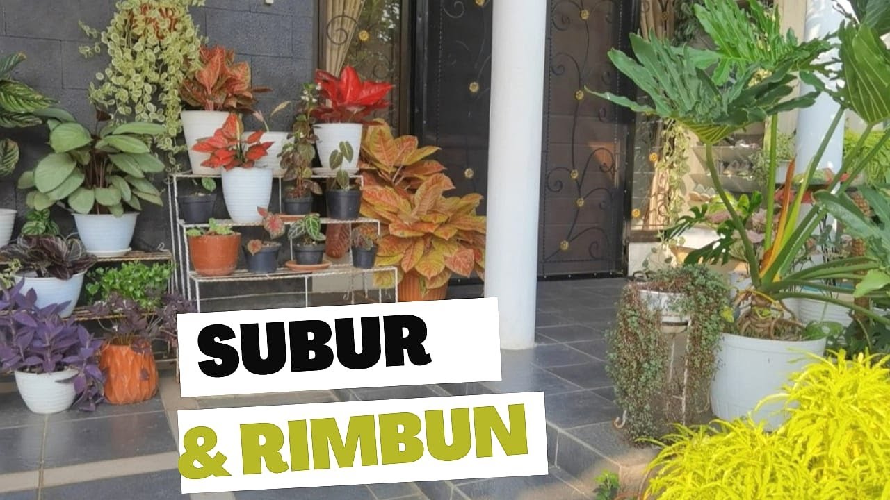 TERAS RUMAH TANAMAN RIMBUN - YouTube