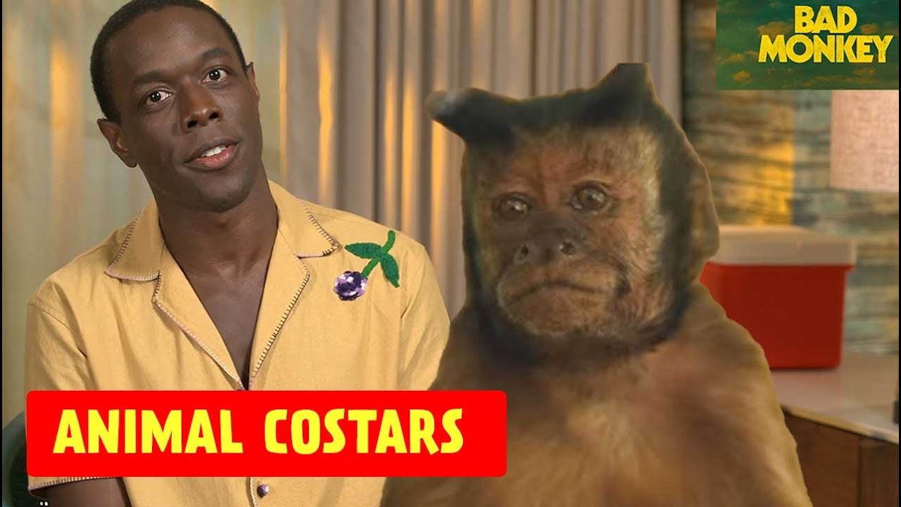 Acting with an Animal Costar: Bad Monkeys Actor Ronald Peet Praises His ...