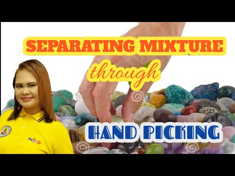 SEPARATING MIXTURE THROUGH HANDPICKING - YouTube