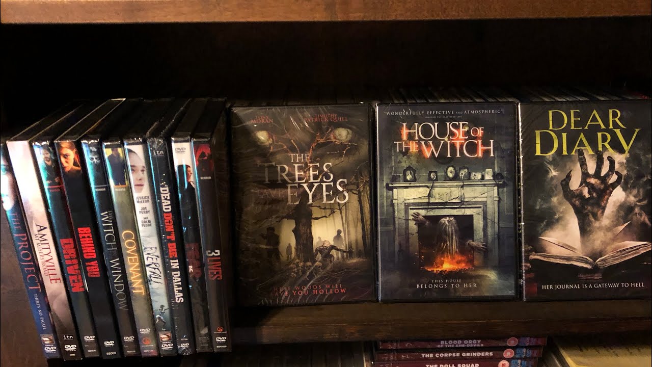 Dollar Tree $1 Blu Ray DVD Movie Haul, 34 Titles, Horror Adventure ...