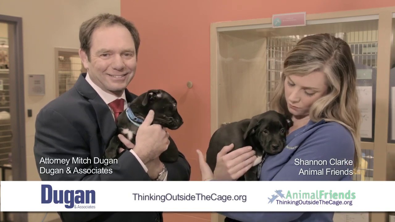 Dugan & Animal Friends - Save A Life Promo - YouTube