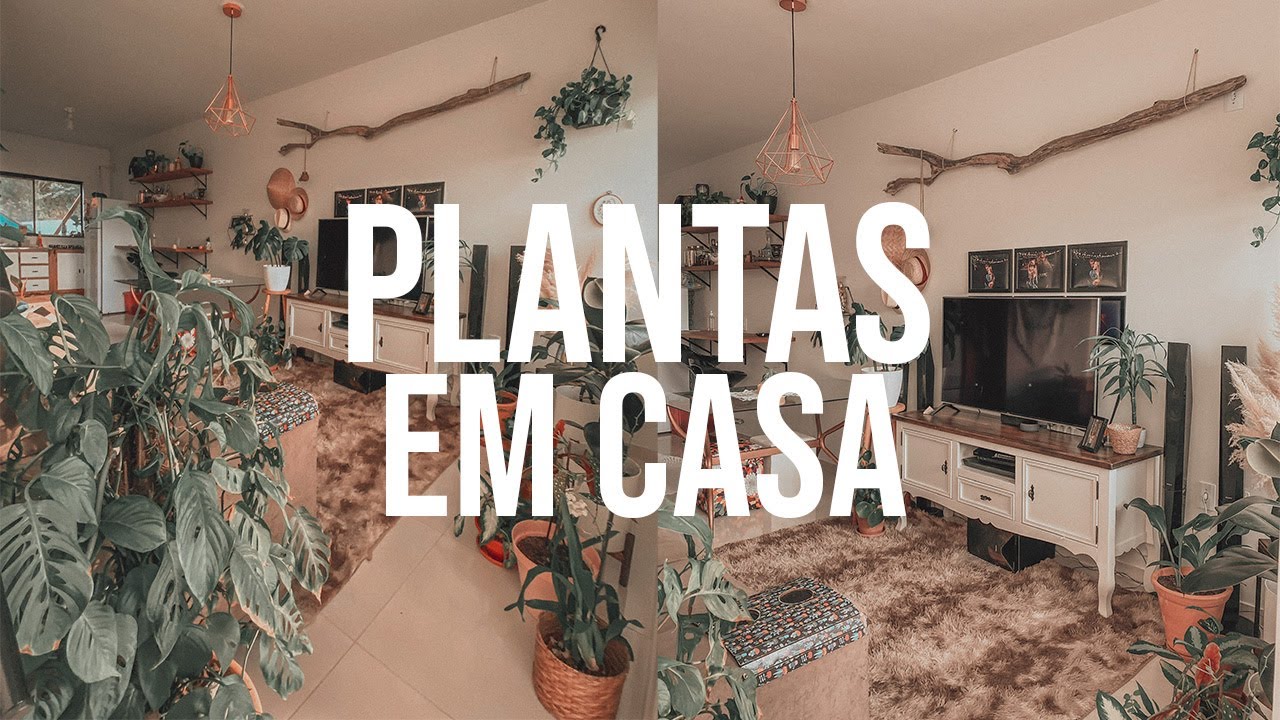 Porque ter plantas em casa? Por Jéssica de Castro! - YouTube
