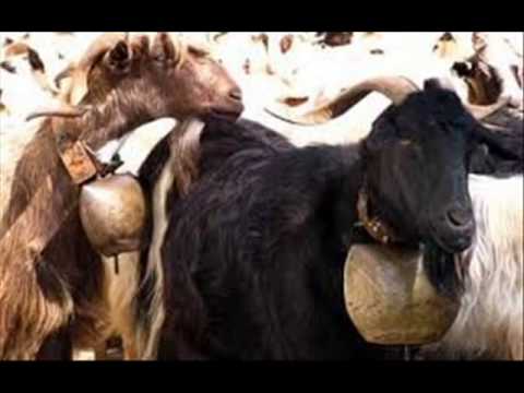 ΘΕΛΩ ΝΑ ΠΙΑΣΕΙ ΜΙΑ ΒΡΟΧΗ - YouTube