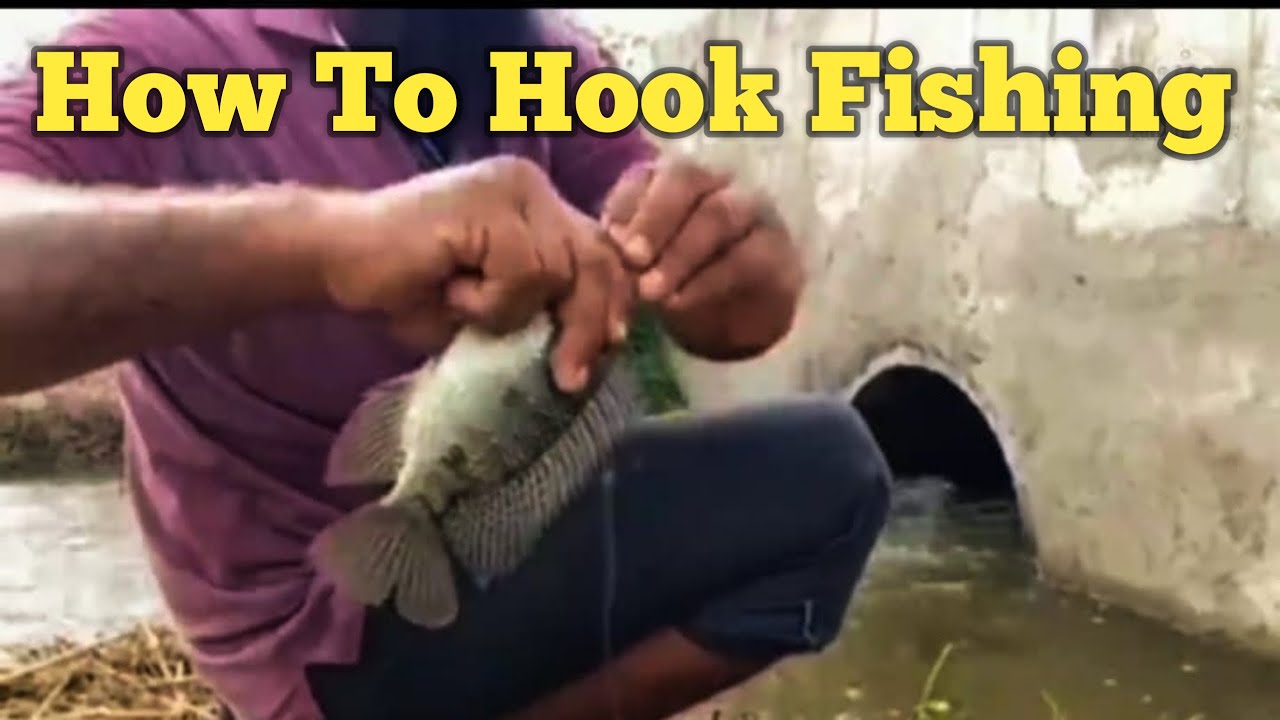 Big Monster Fish Catch || 10Kg Big Giant Catfish Catch || Incredible ...