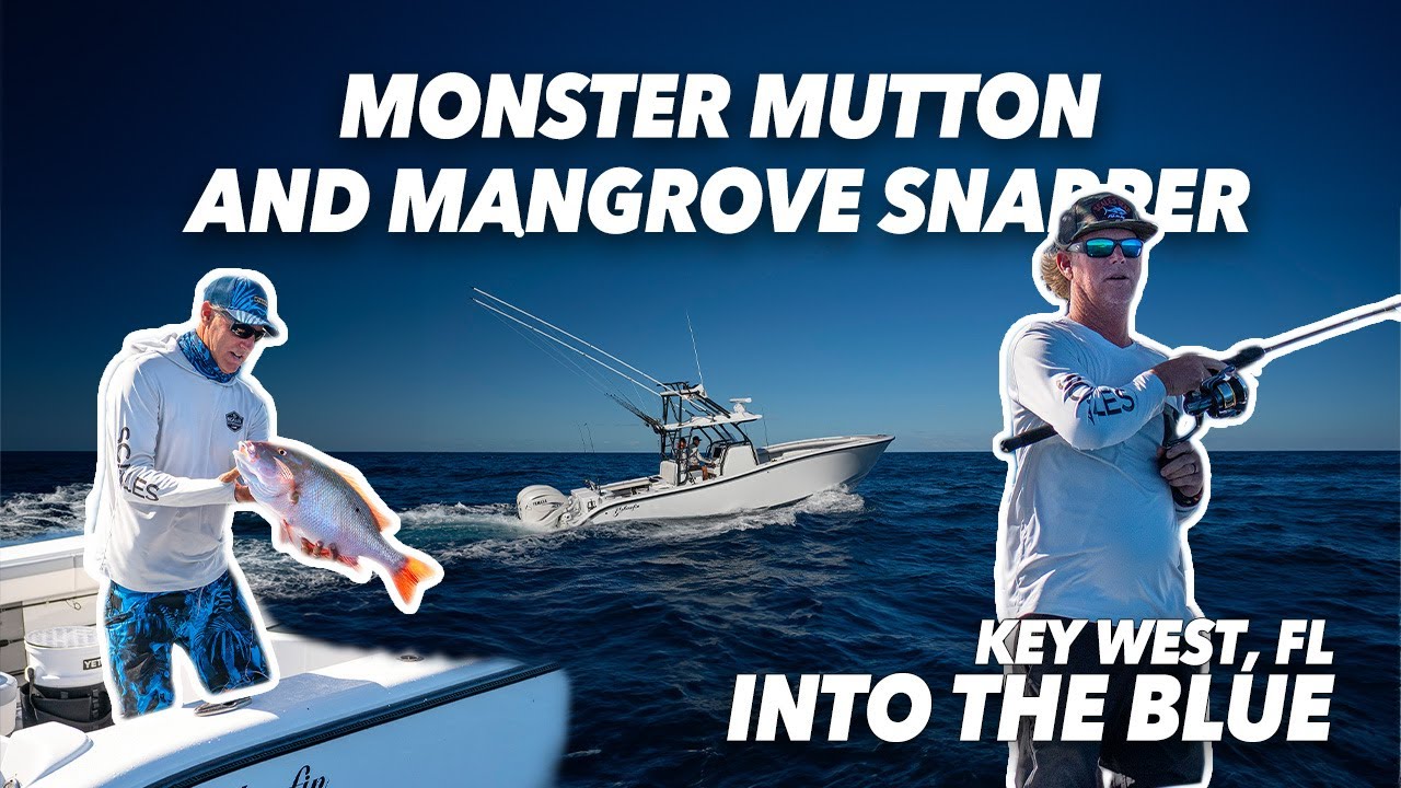 Monster Mutton and Mangove Snapper! | Into the Blue - YouTube