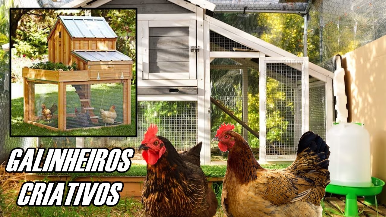 Incríveis Ideias de Galinheiros Criativos – Construa o Seu de Forma ...