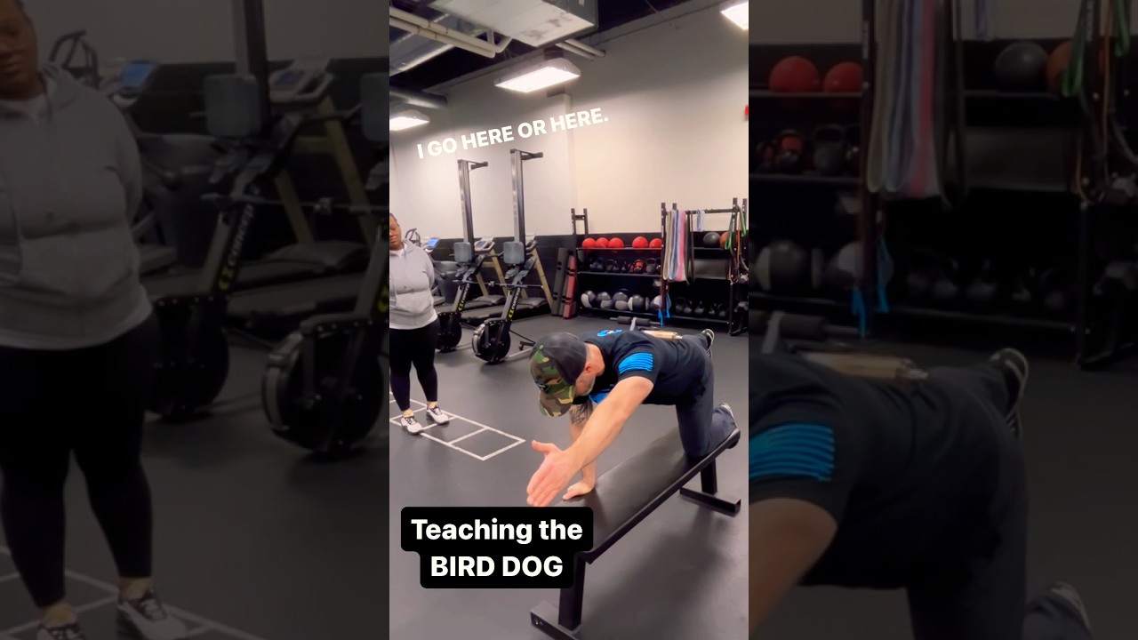Bird Dog CORE Exercise Instruction with Water Bottle - YouTube