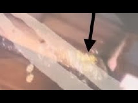 Cars 2 Fred Pacer’s Death - YouTube