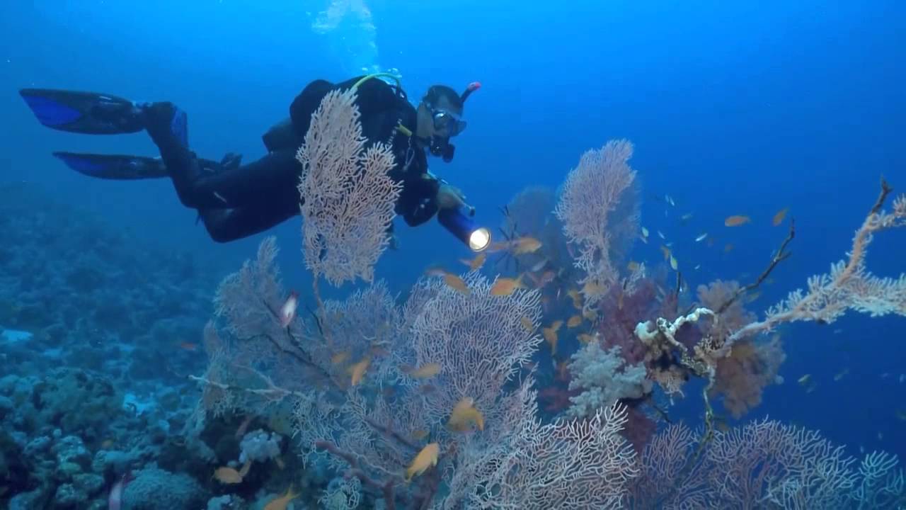 SSI Risk Awareness 2 - YouTube