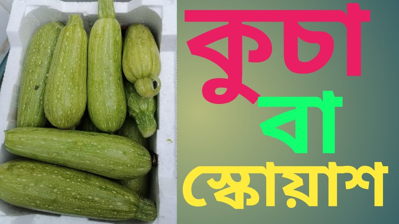 how to upload video and koosa vegetable - YouTube