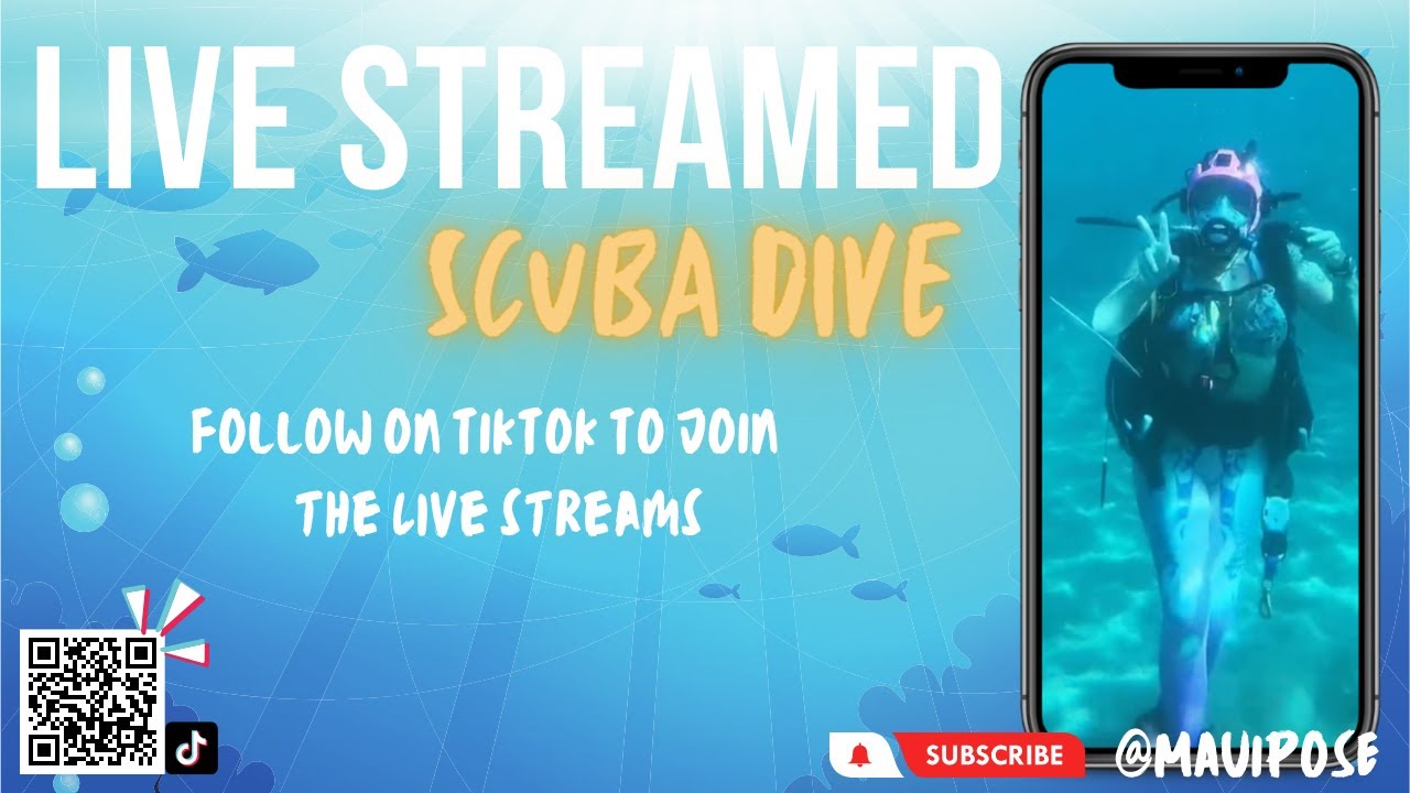 FANTASTIC MORNING LIVE STREAMED SCUBA DIVE AT OUR FAVORITE PLACE 2/15 ...