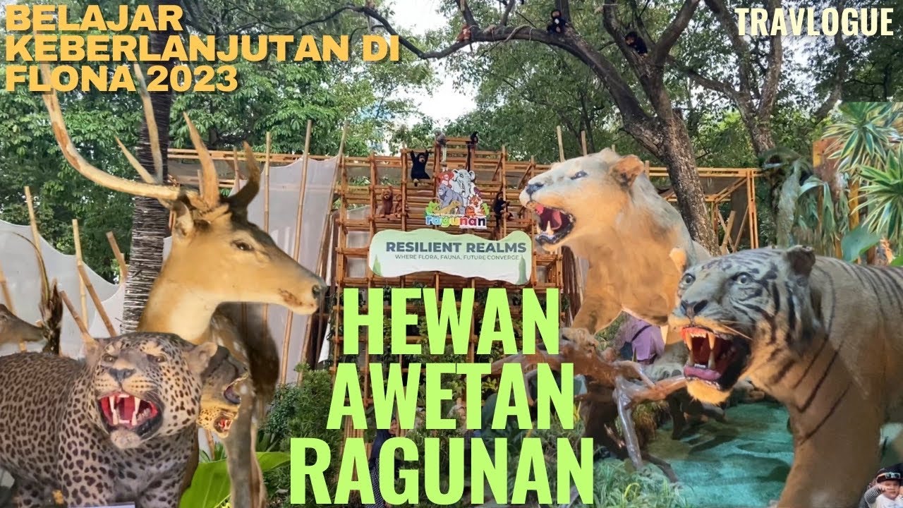 Hewan Awetan dari Kebun Binatang Ragunan | TRAVLOGUE - YouTube