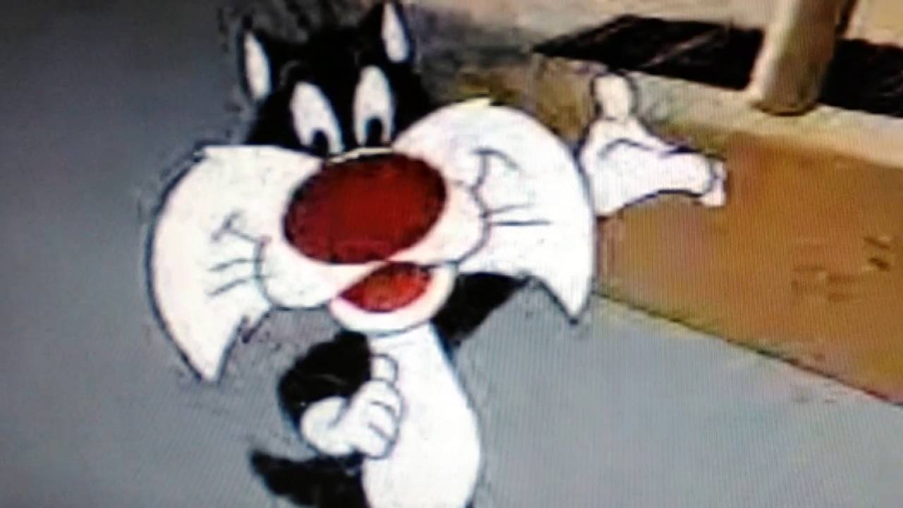 Pappo Aquel Gato Silvestre - YouTube