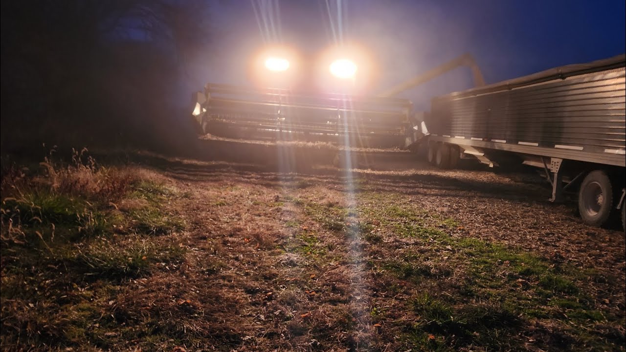 Old Gleaner held together, 2024 in the dust! - YouTube