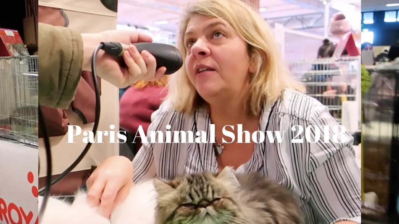 Report on Paris Animal Show - 18/01/2018 - YouTube