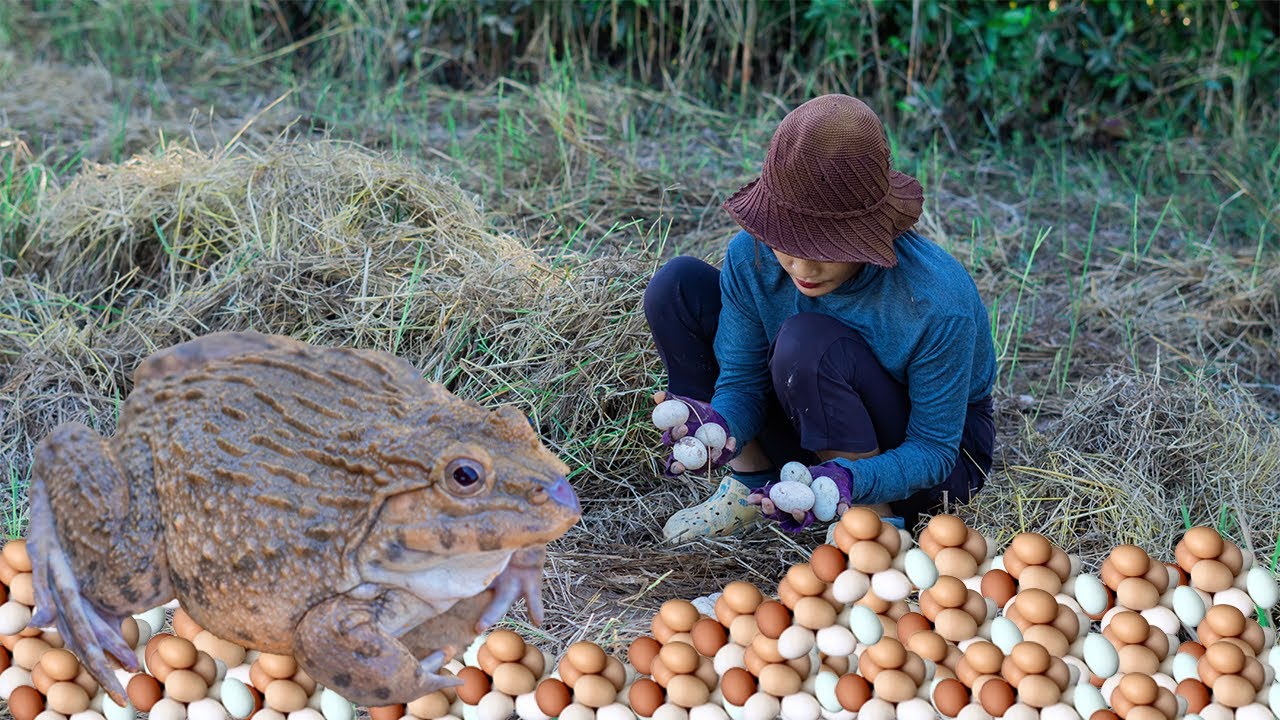 Amazing Frog Catching Techniques: Learn From the Experts With San ...