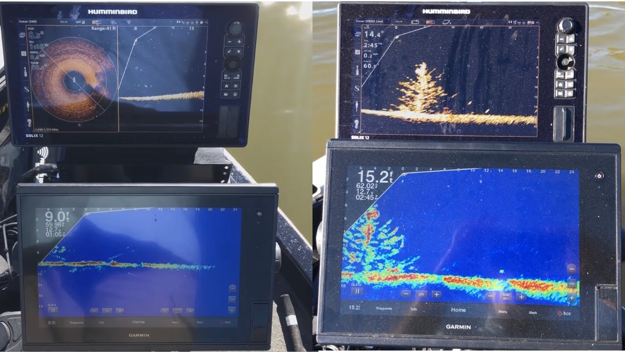 LIVESCANNER “True Scan” With MEGA Live & Livescope - YouTube