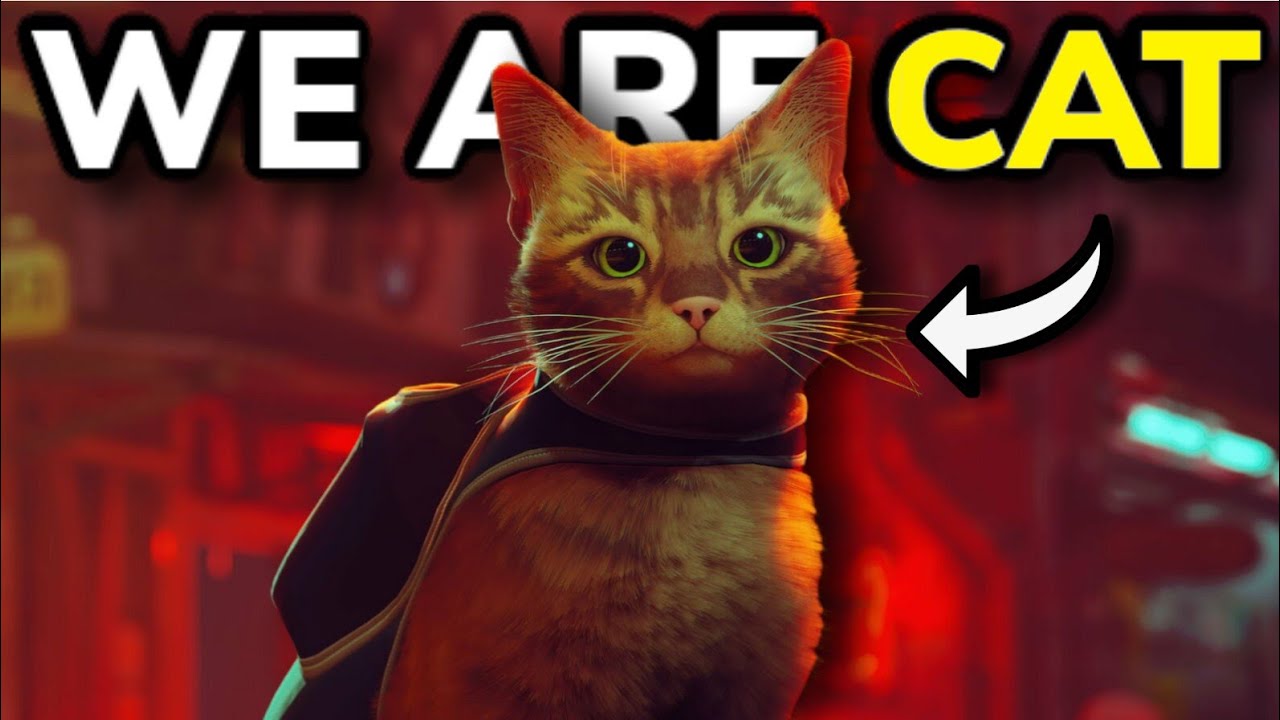 Exploring a Post-Apocalyptic World as a Stray Cat! | Stray - YouTube