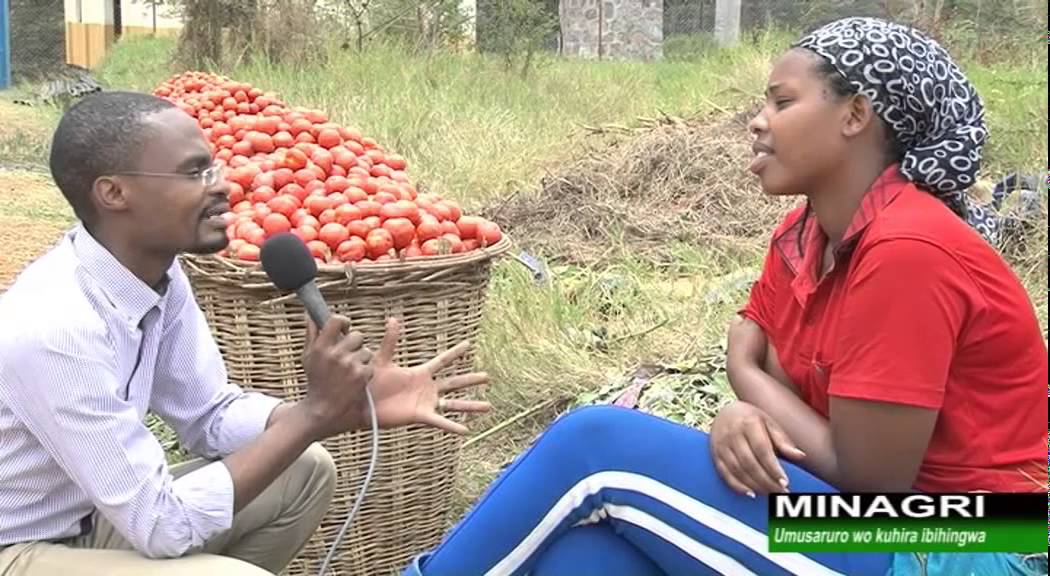 UMUSARURO UTURUKA MU KUHIRA IMYAKA Ubuhinzi mu Rwanda-Rwanda ...
