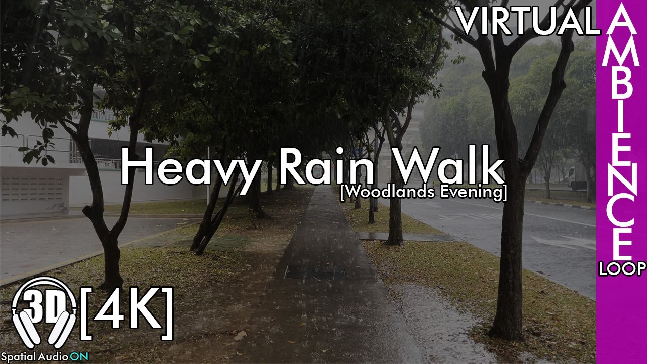 🎧Heavy Rain Walk #ultrawidewalk #3dsound #4kwalk #ASMR #DJI #sgwalk # ...