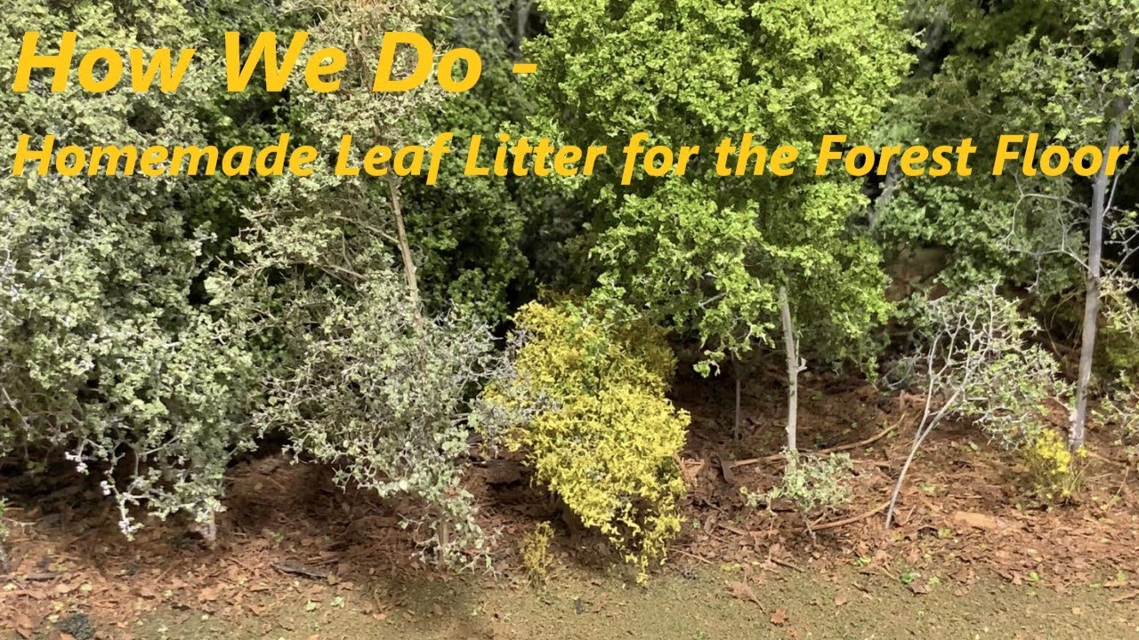 How We Do: Leaf Litter on the Forest Floor. - YouTube