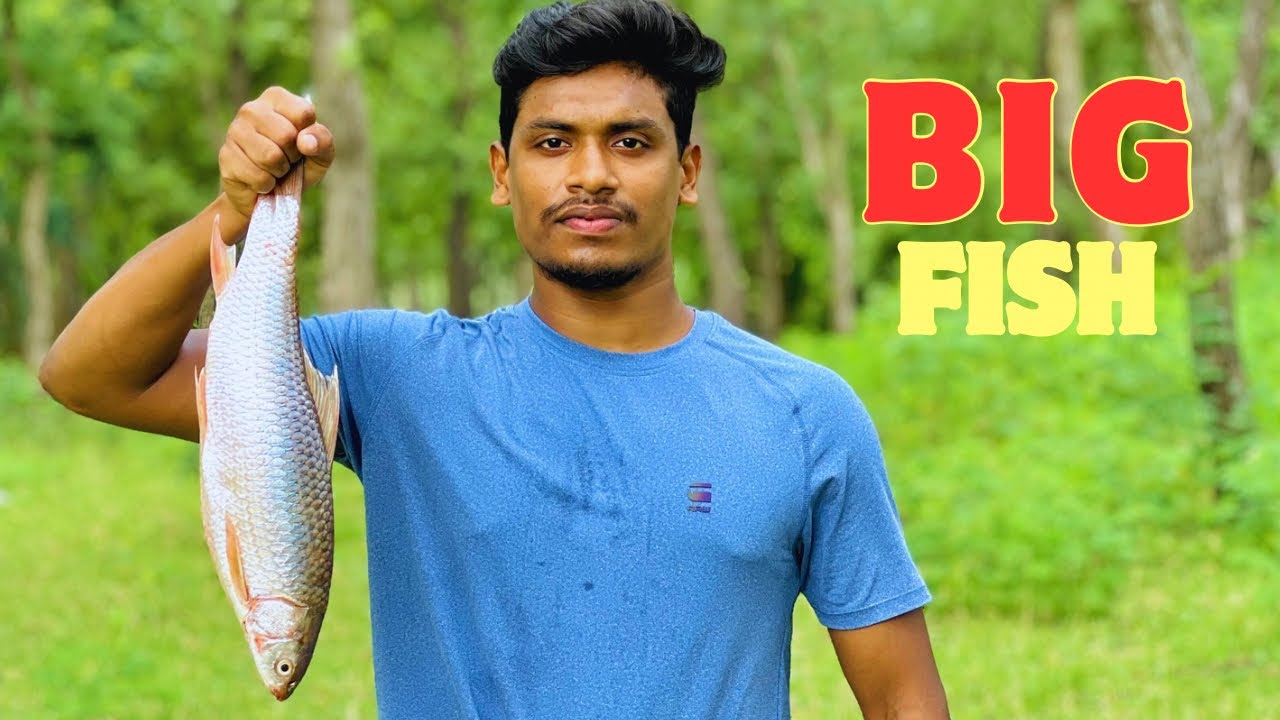 Big Fish Cooking In The Forest | Outdoor Cooking ASMR | Bangladesh 🇧🇩 ...