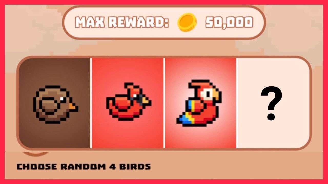 Bird Daily Combo Today 26 December | Bird Combo Today | Daily Combo ...
