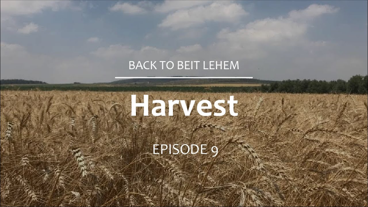 Harvest - YouTube