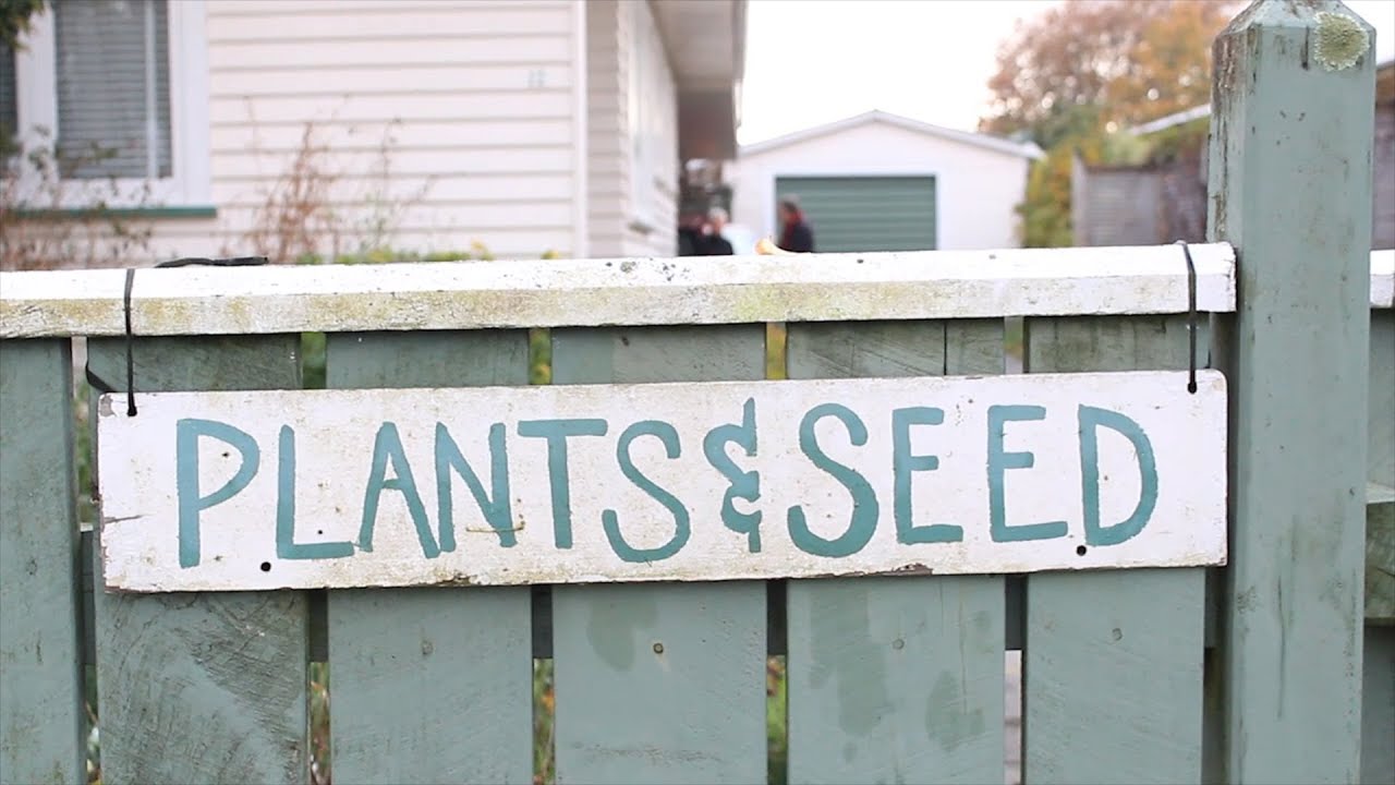 Growing the family tree: Helen Dew's Super-productive home garden - YouTube