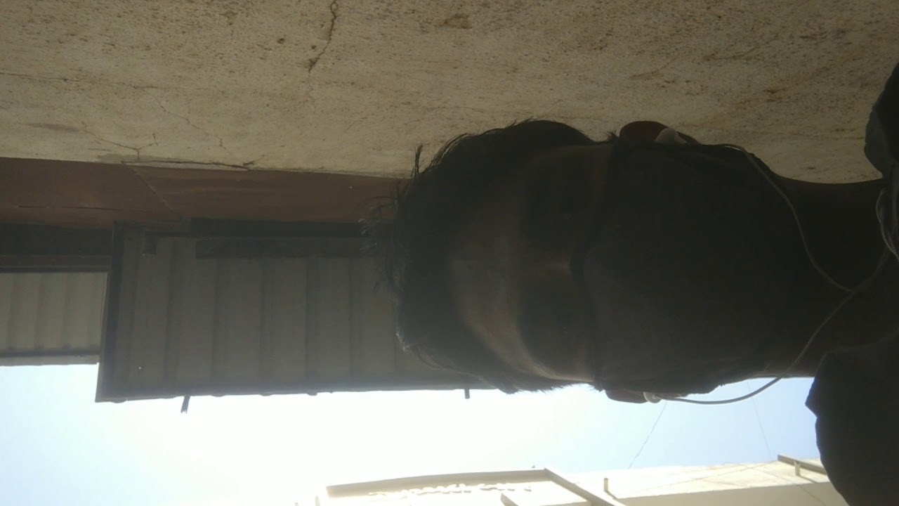 May 21, 2020 - YouTube