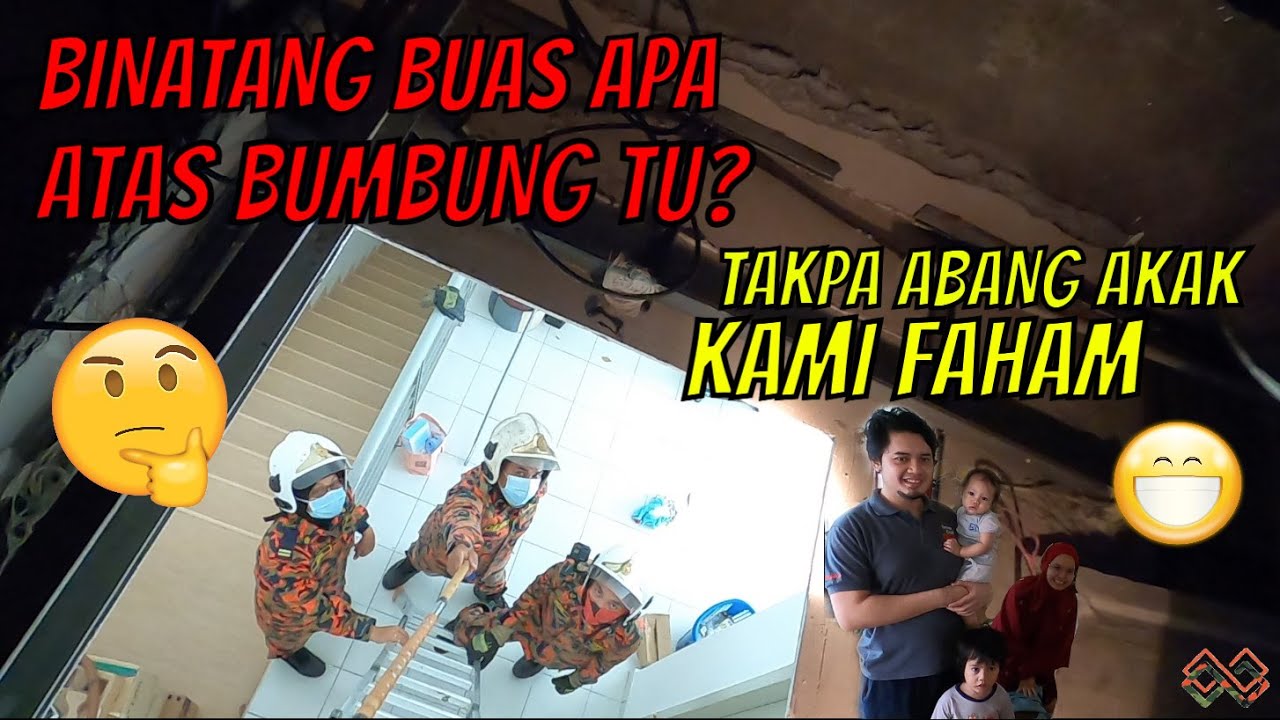 BINATANG BUAS APA DEKAT ATAS BUMBUNG RUMAH TU?TAK APA ABANG AKAK KAMI ...