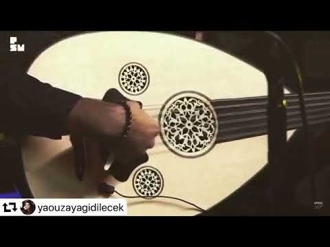 Ahmet Ayzit - Gaye Su Akyol İstikrarlı Hayal Hakikattir