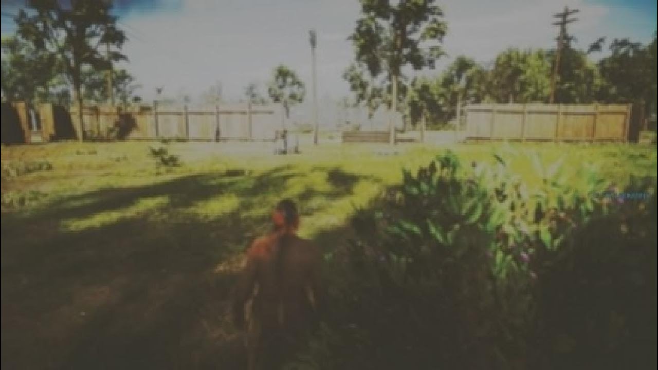 Red Dead Redemption 2 Online Tomahawk Power - YouTube