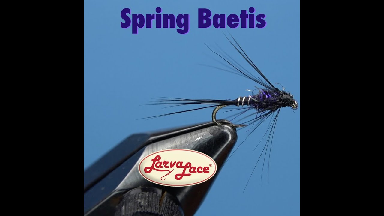 Fly tying tutorial: Larva Lace Spring Baetis / Soft Hackle Spring Trout ...