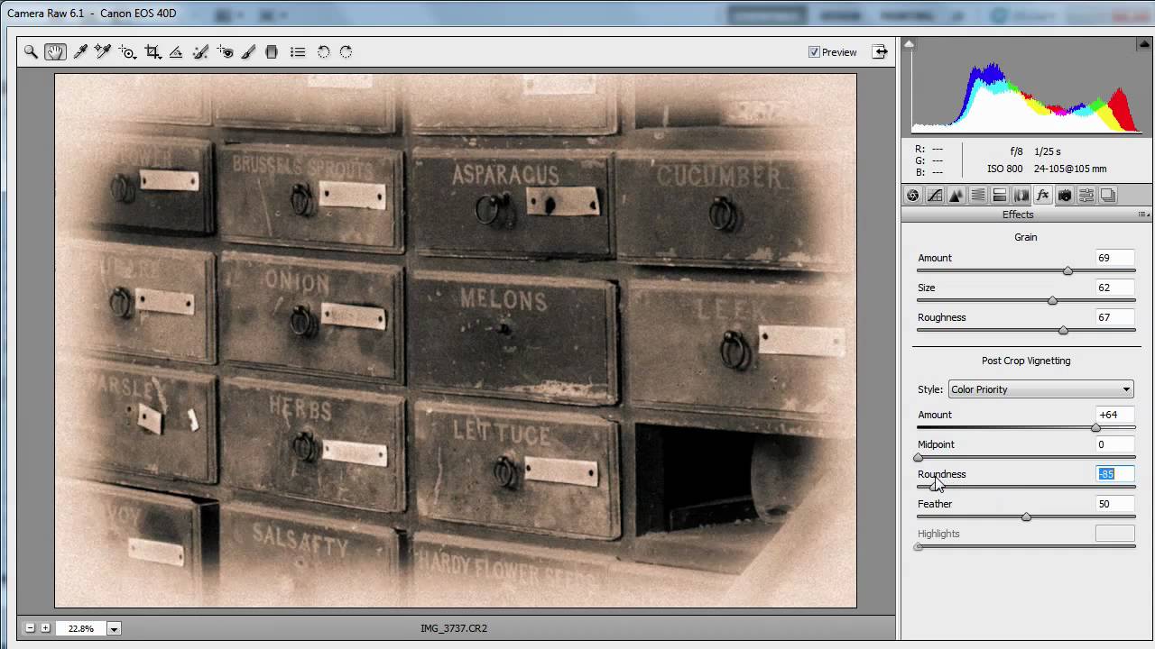 Vintage look inside of Adobe Camera RAW - Photoshop CS5 & Lightroom 3 ...