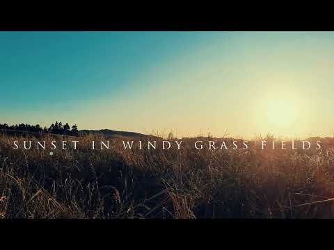 [4K] Sunset in windy grass fields [Natural Ambience] [4K] [風の強い草原の夕日] [바람 부는 풀밭의 석양] [在有风的草地的日落]