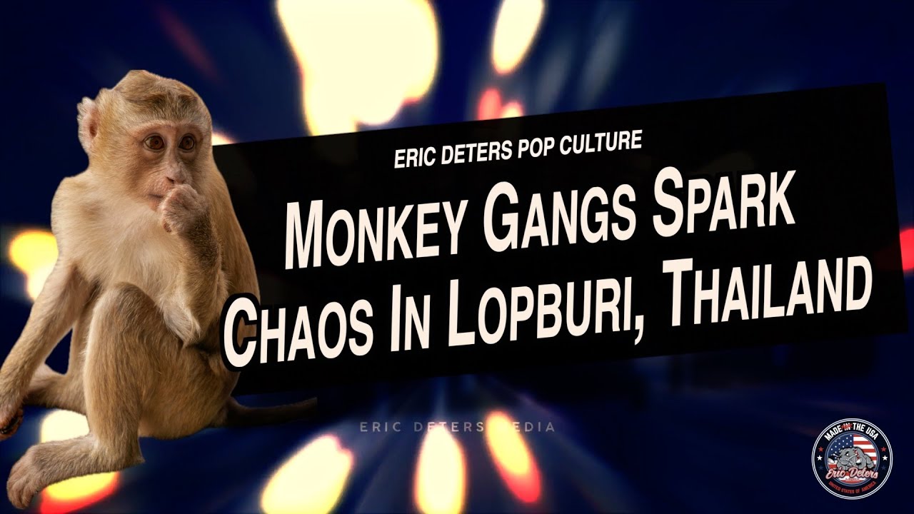 Monkey Gangs Spark Chaos In Lopburi, Thailand | Eric Deters Pop Culture ...