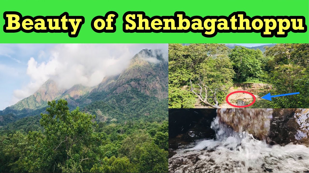 செண்பகத்தோப்பு இயற்கை எழில்||Beauty of Shenbagathoppu||Western Ghats ...