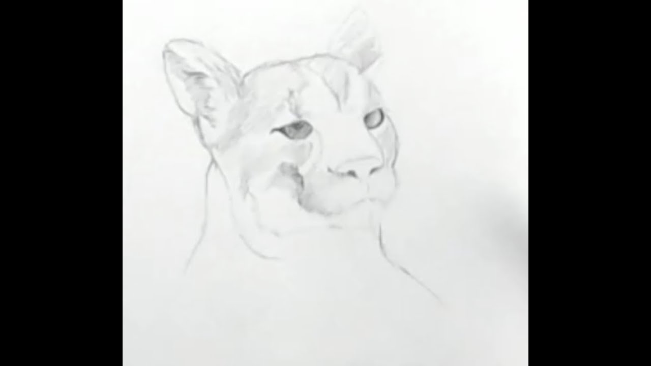 My drawing struggles - 5 (speed drawing) - YouTube