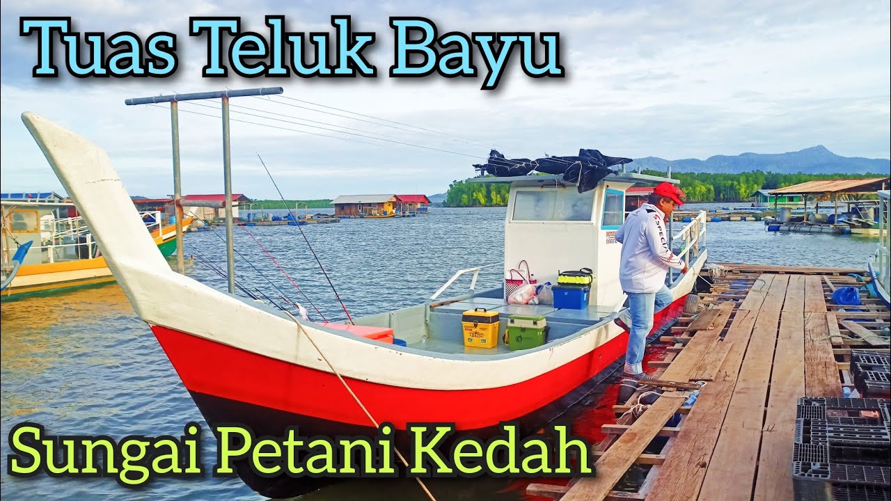 Ikan Tenggiri Dan Cencaru Tuas Teluk Bayu, Sungai Petani, Kedah - YouTube