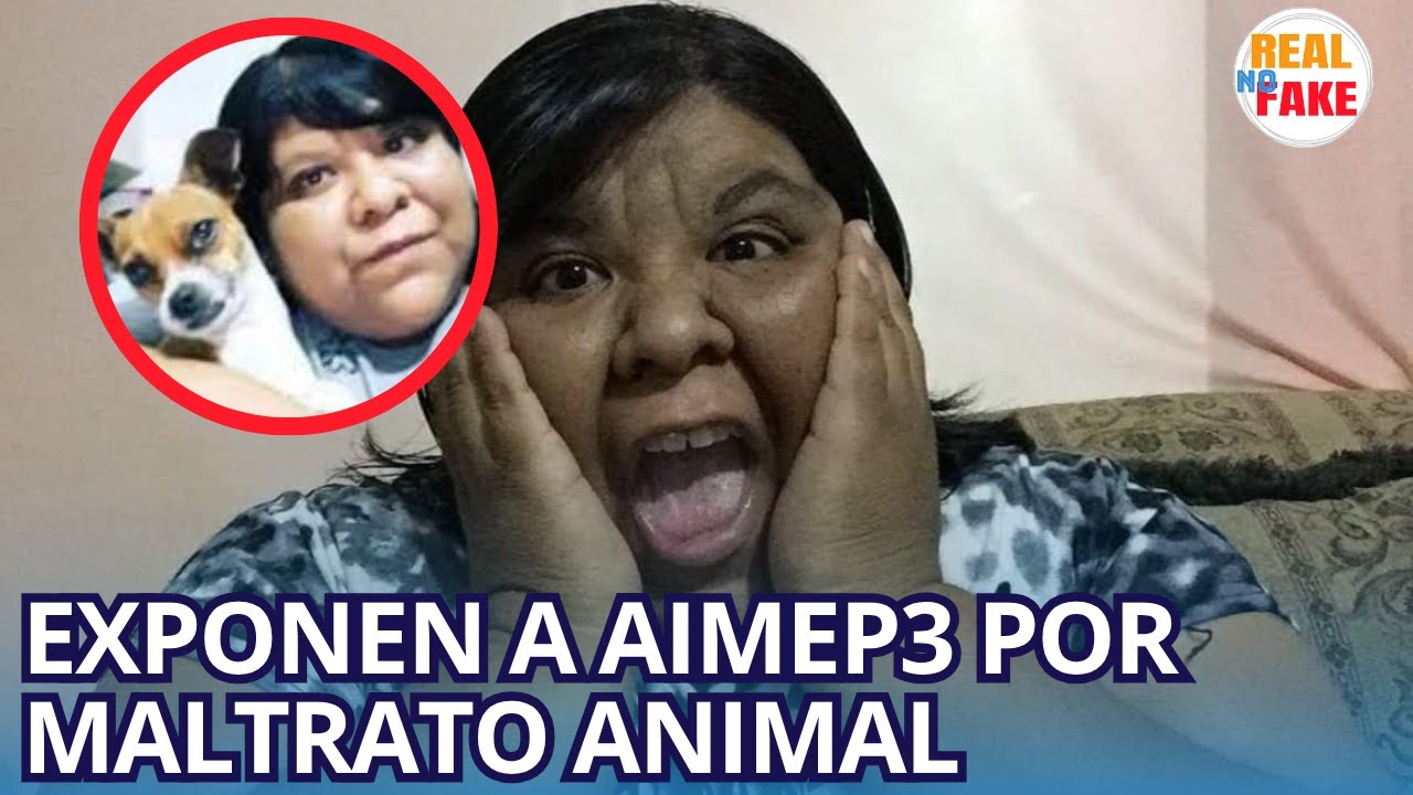 Exponen a Aimep3 por maltrato animal y la verdad de la muert3 de ...